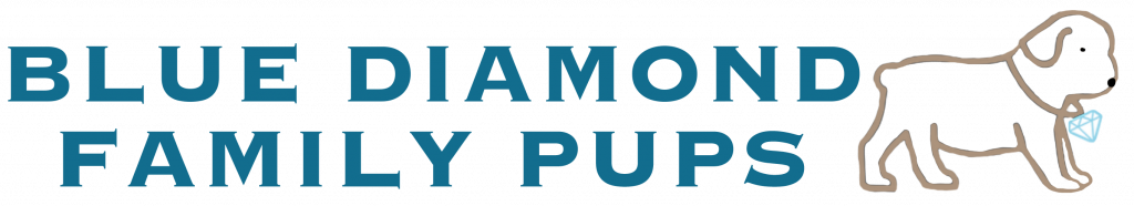 Patches - Blue Diamond Family Pups